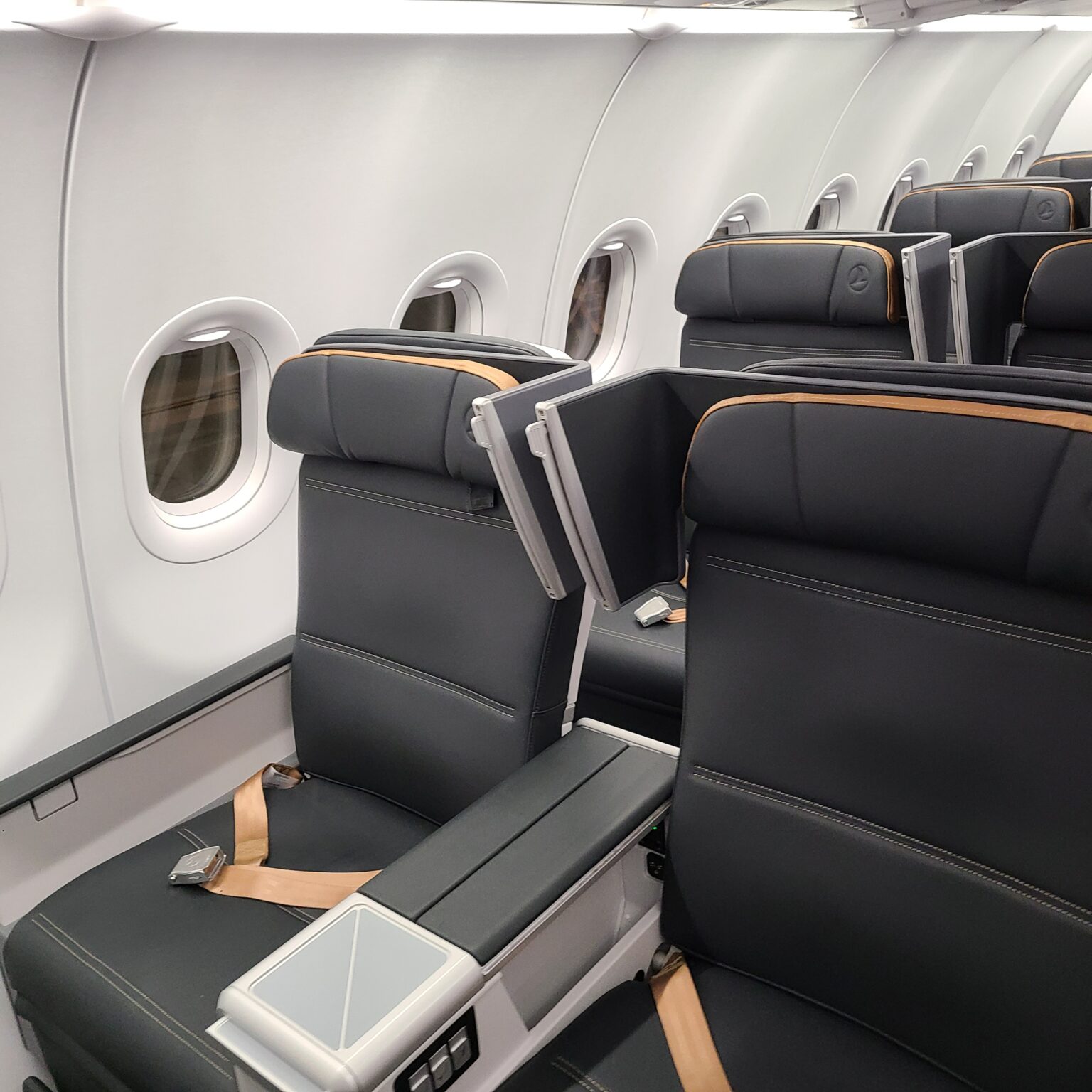 Review: Turkish Airlines Business Class Airbus A321neo (IST-FRU)