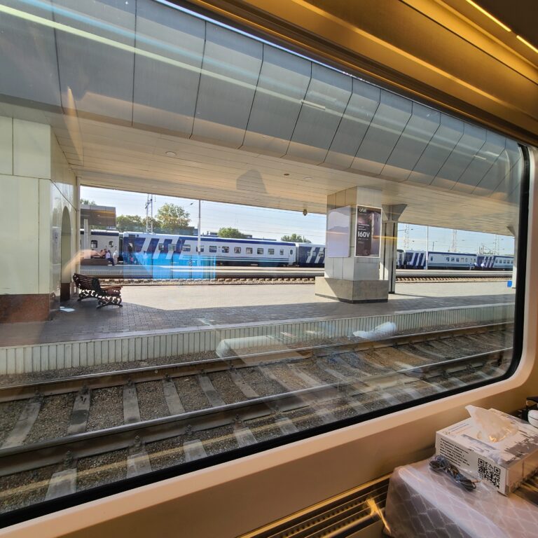 Review: Afrosiyob, Uzbekistan's High Speed Train (VIP, Business, & Economy)