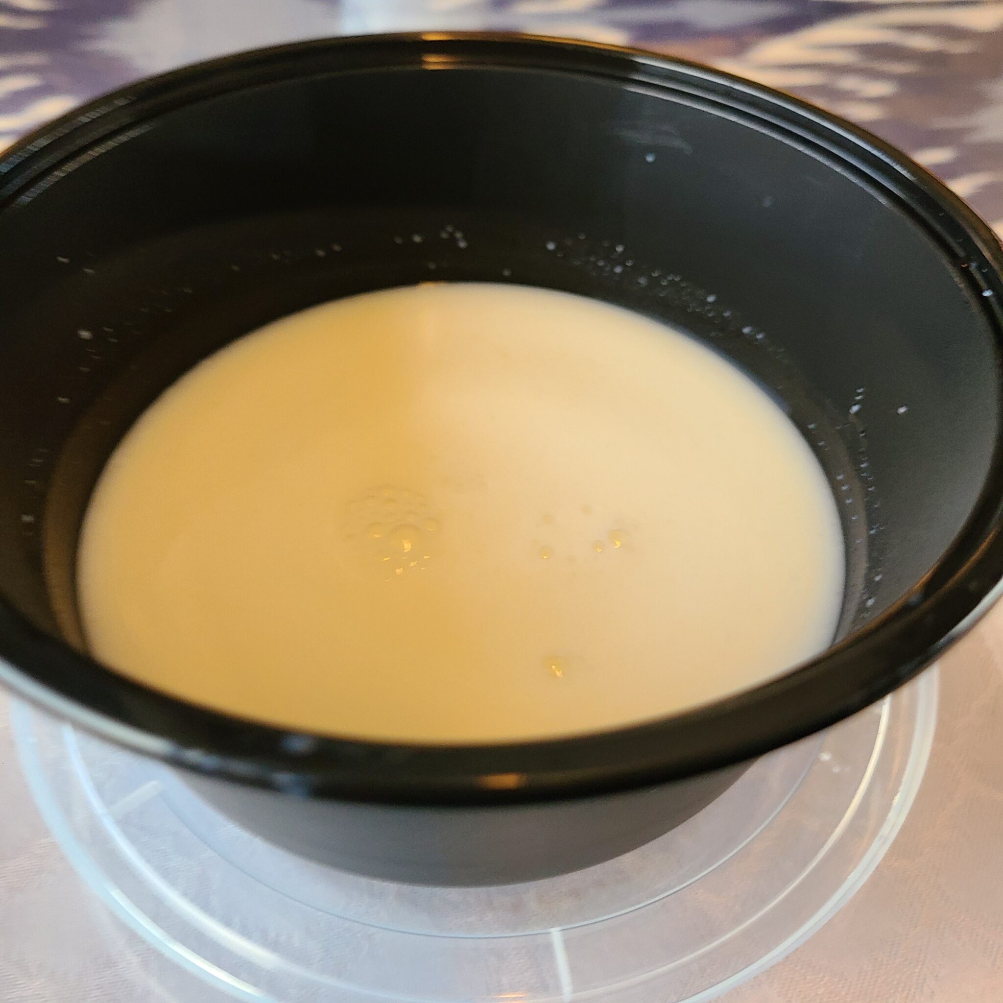 Review: Afrosiyob, Uzbekistan's High Speed Train (VIP, Business, & Economy)