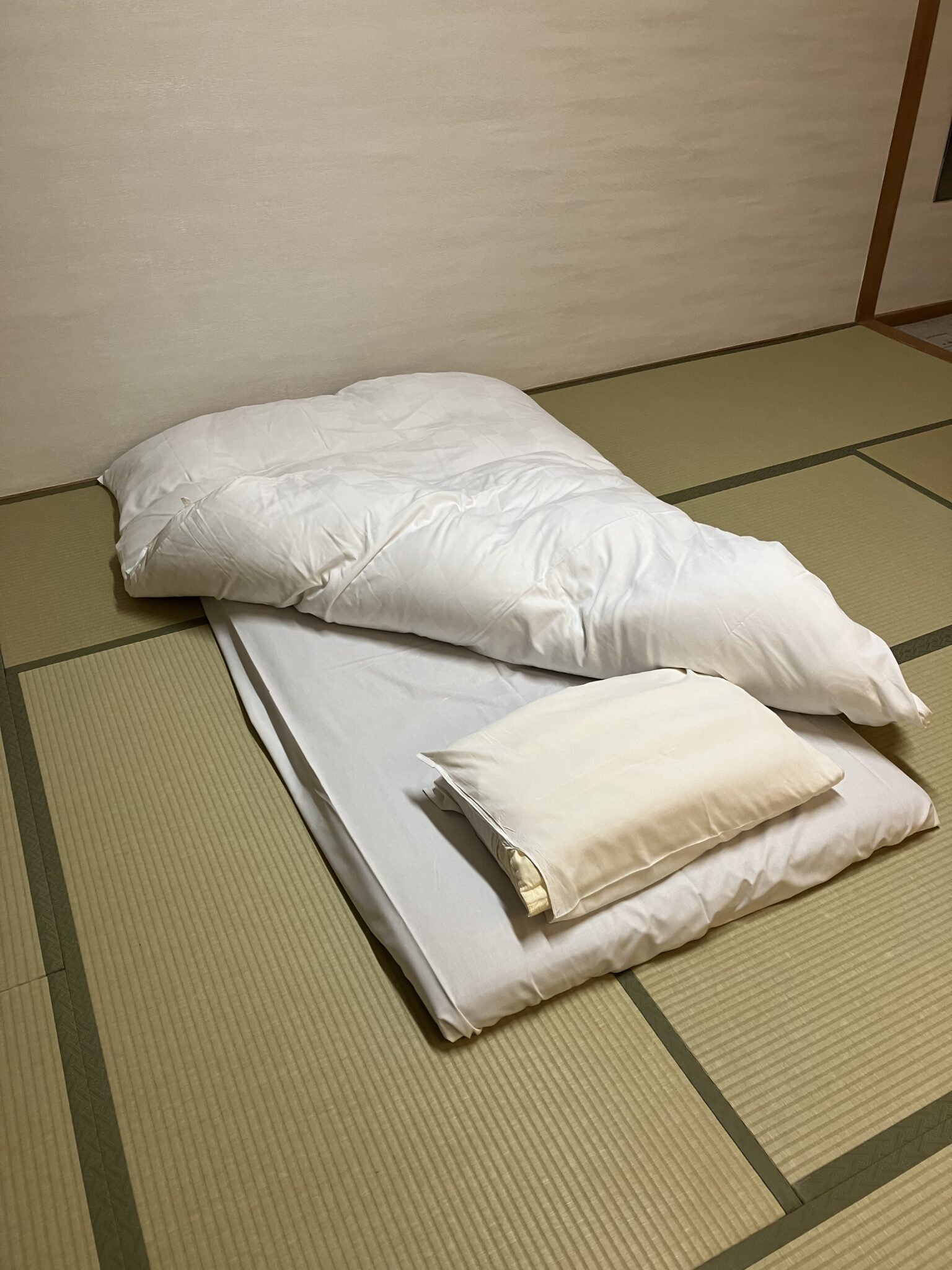Review: Dai-ichi Takimotokan Noboribetsu Onsen [Japan]