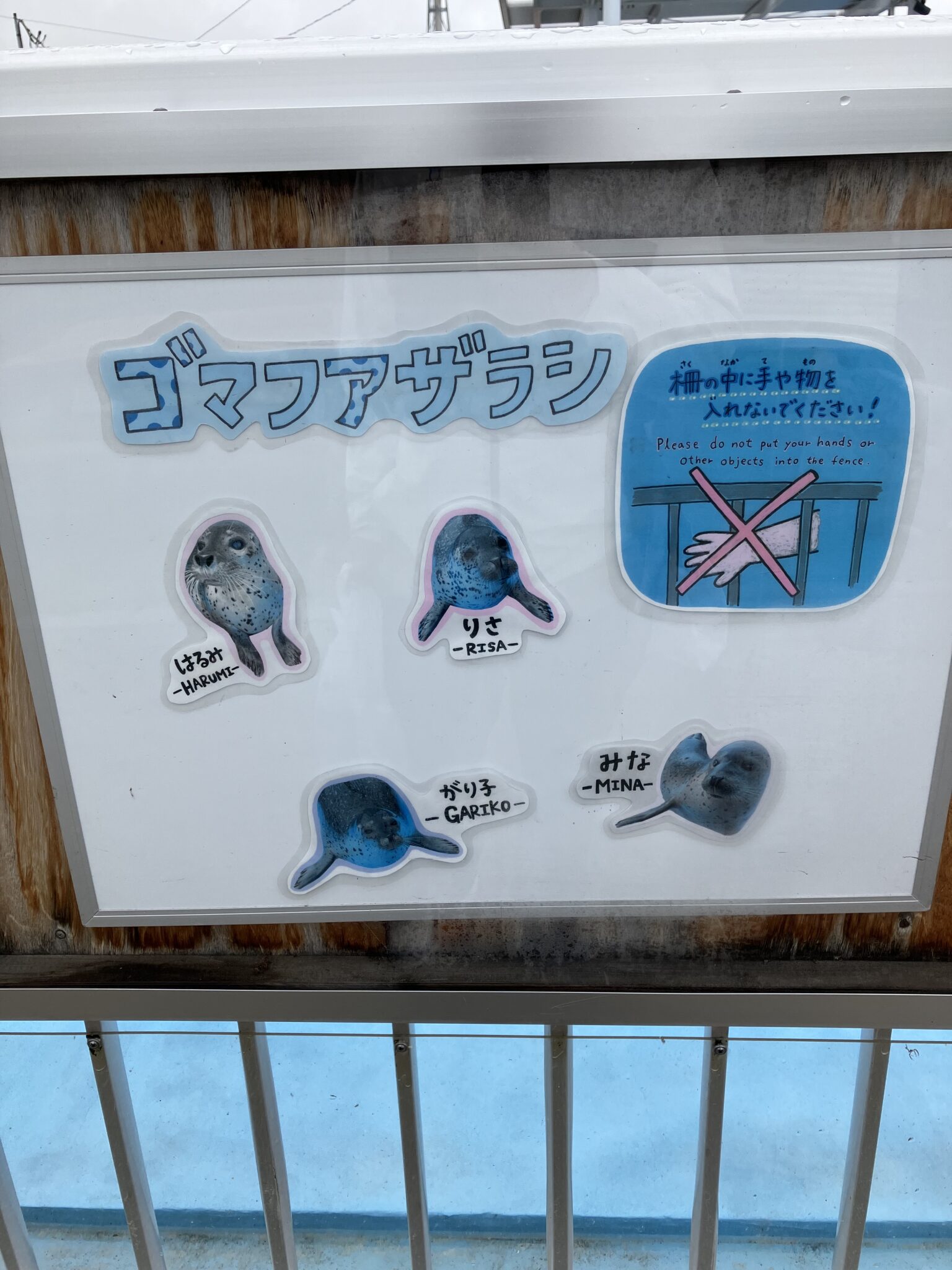 Tourist Guide to Okhotsk Tokkari Center & Azarashi Sea Paradise