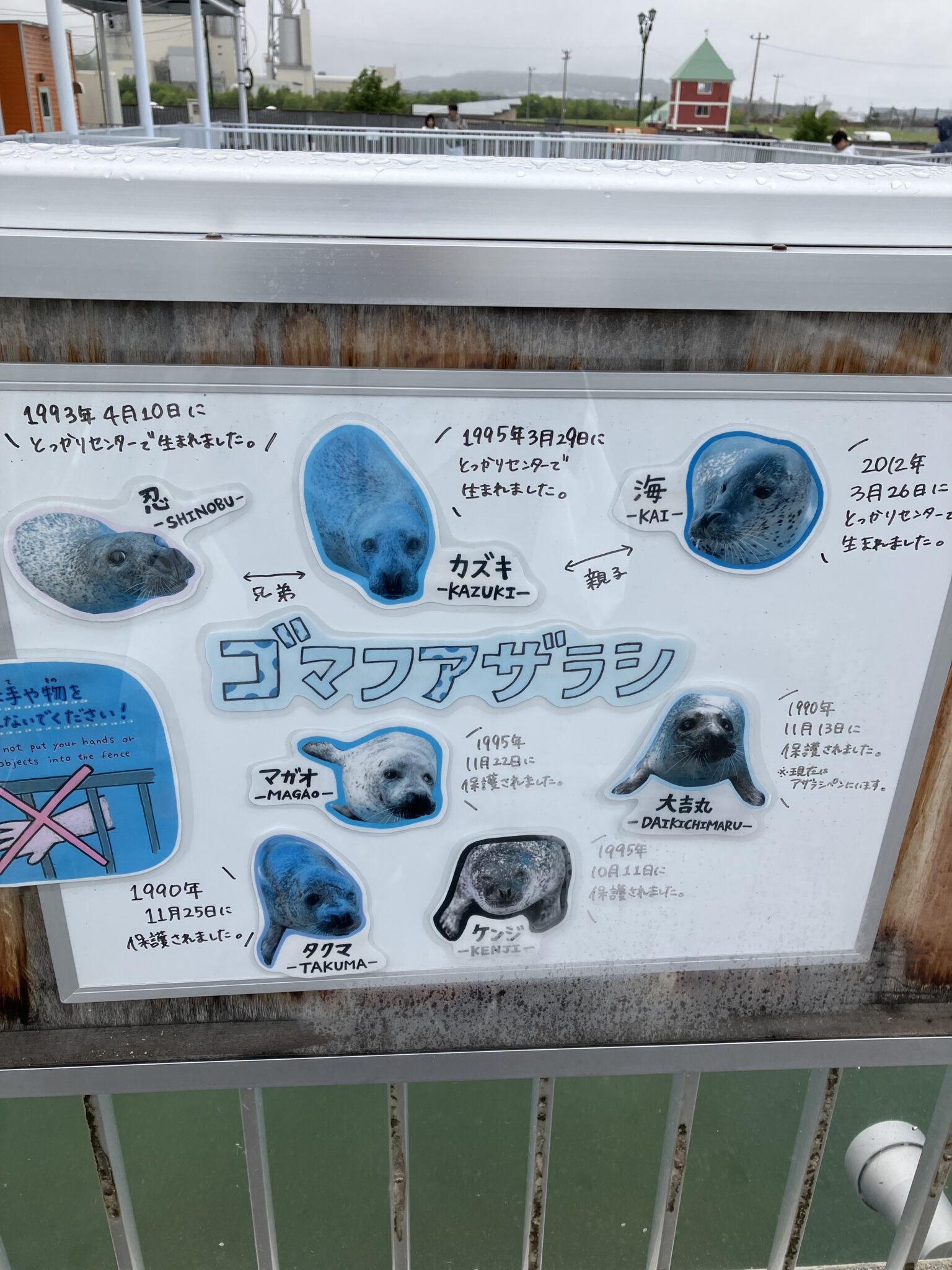 Tourist Guide to Okhotsk Tokkari Center & Azarashi Sea Paradise