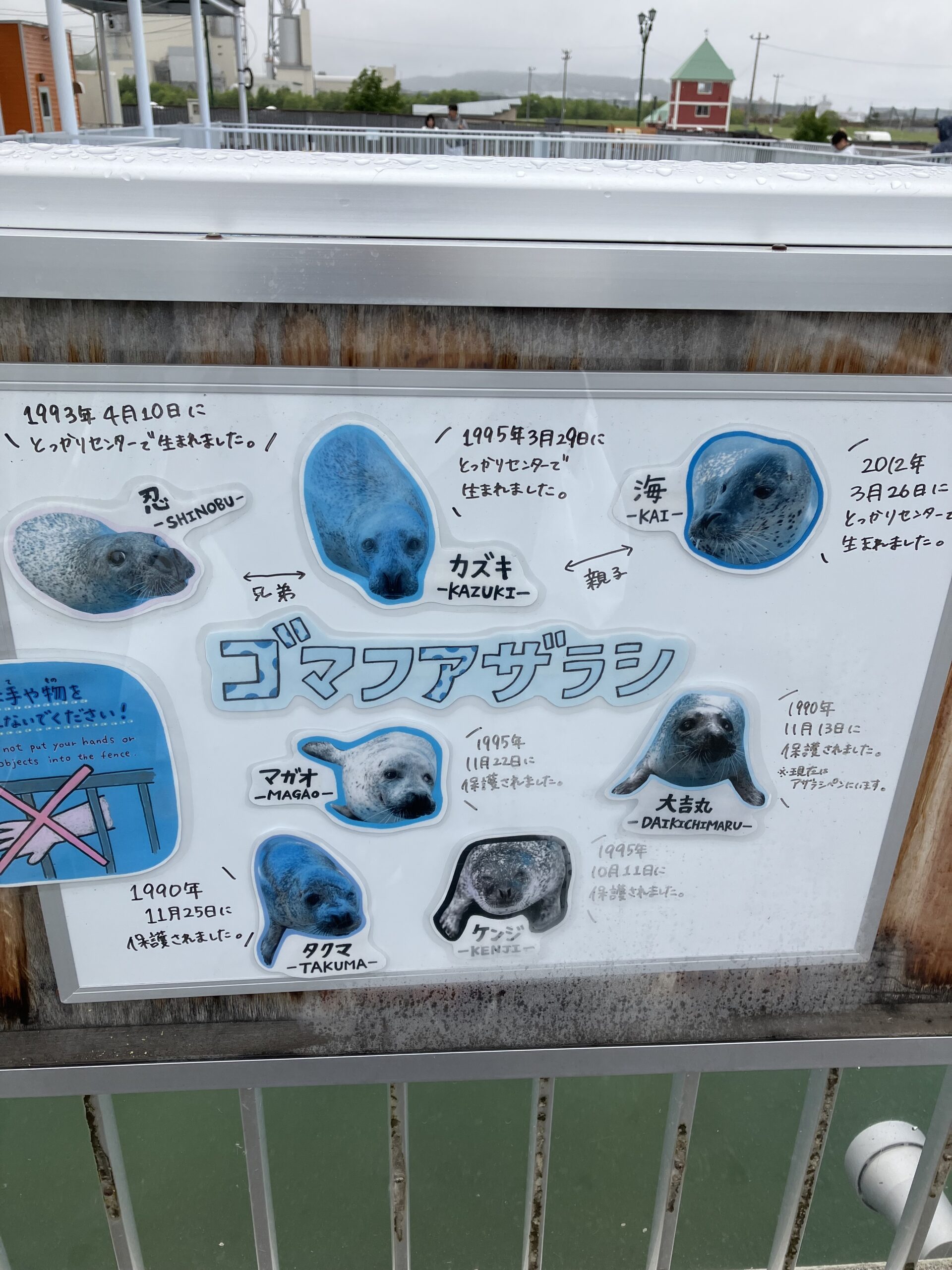 Tourist Guide to Okhotsk Tokkari Center & Azarashi Sea Paradise