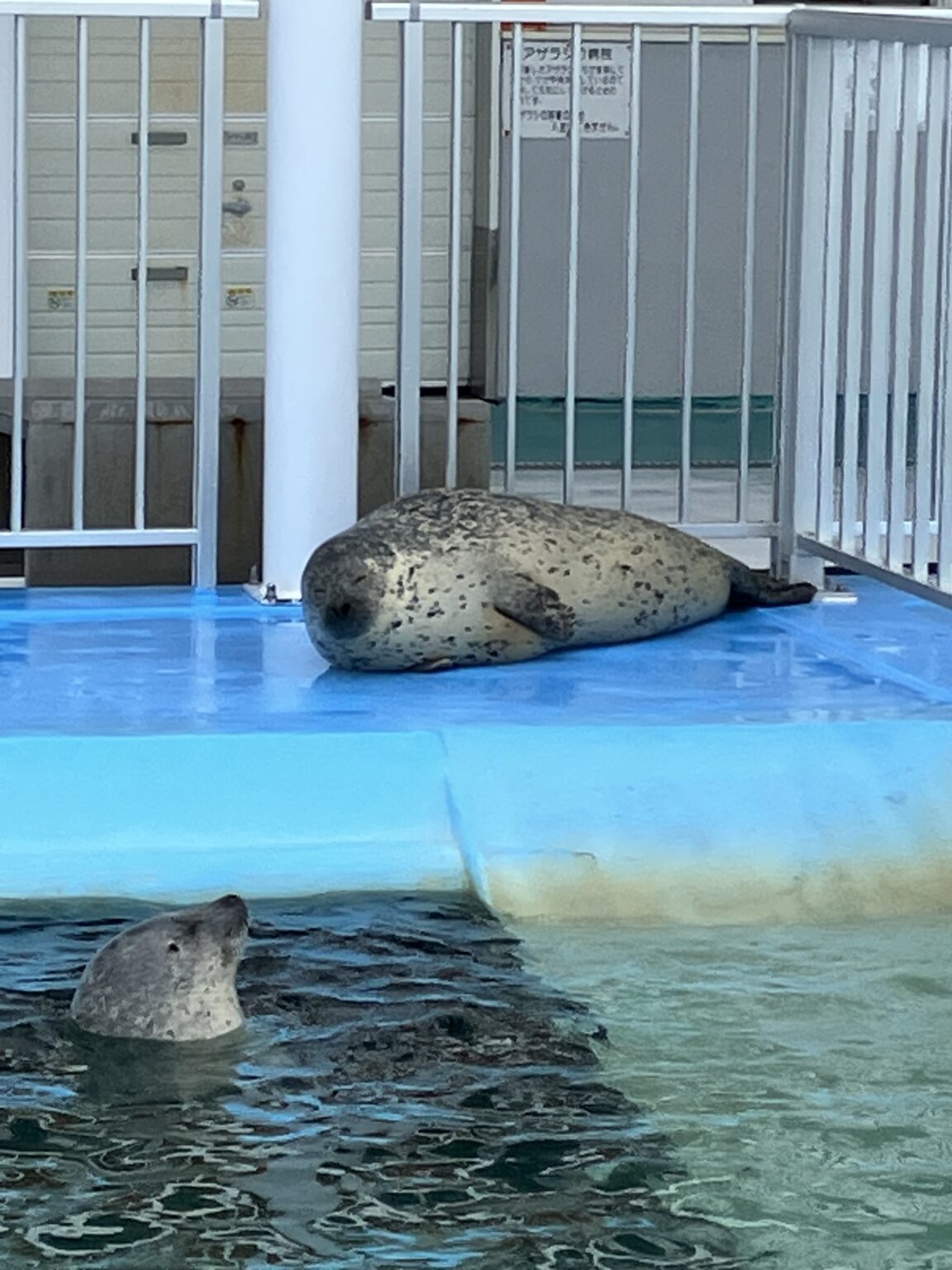 Tourist Guide to Okhotsk Tokkari Center & Azarashi Sea Paradise