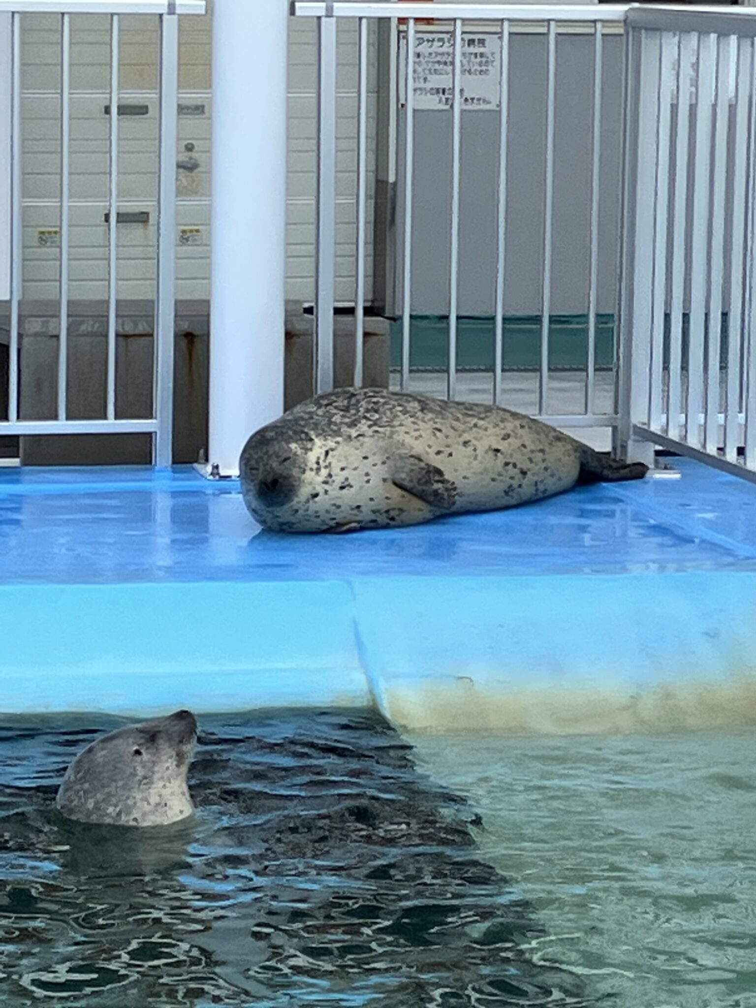 Tourist Guide to Okhotsk Tokkari Center & Azarashi Sea Paradise