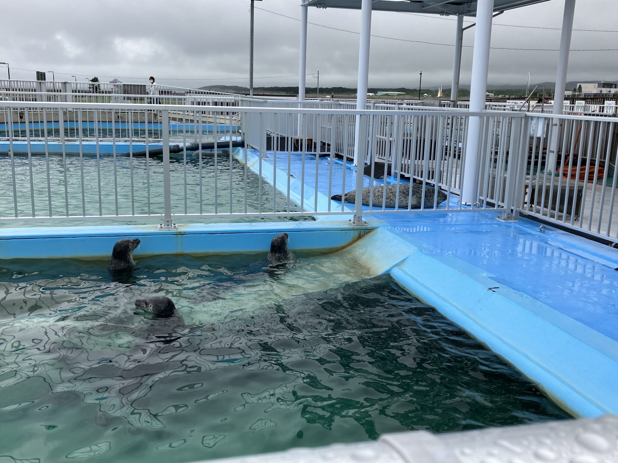 Tourist Guide to Okhotsk Tokkari Center & Azarashi Sea Paradise