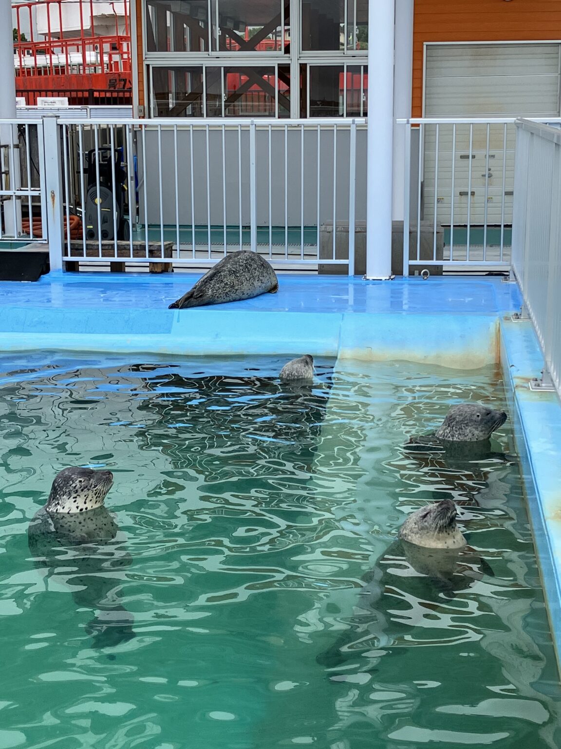 Tourist Guide to Okhotsk Tokkari Center & Azarashi Sea Paradise