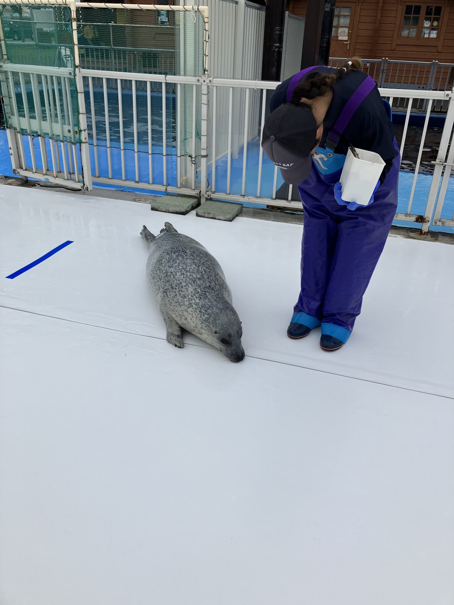 Tourist Guide to Okhotsk Tokkari Center & Azarashi Sea Paradise