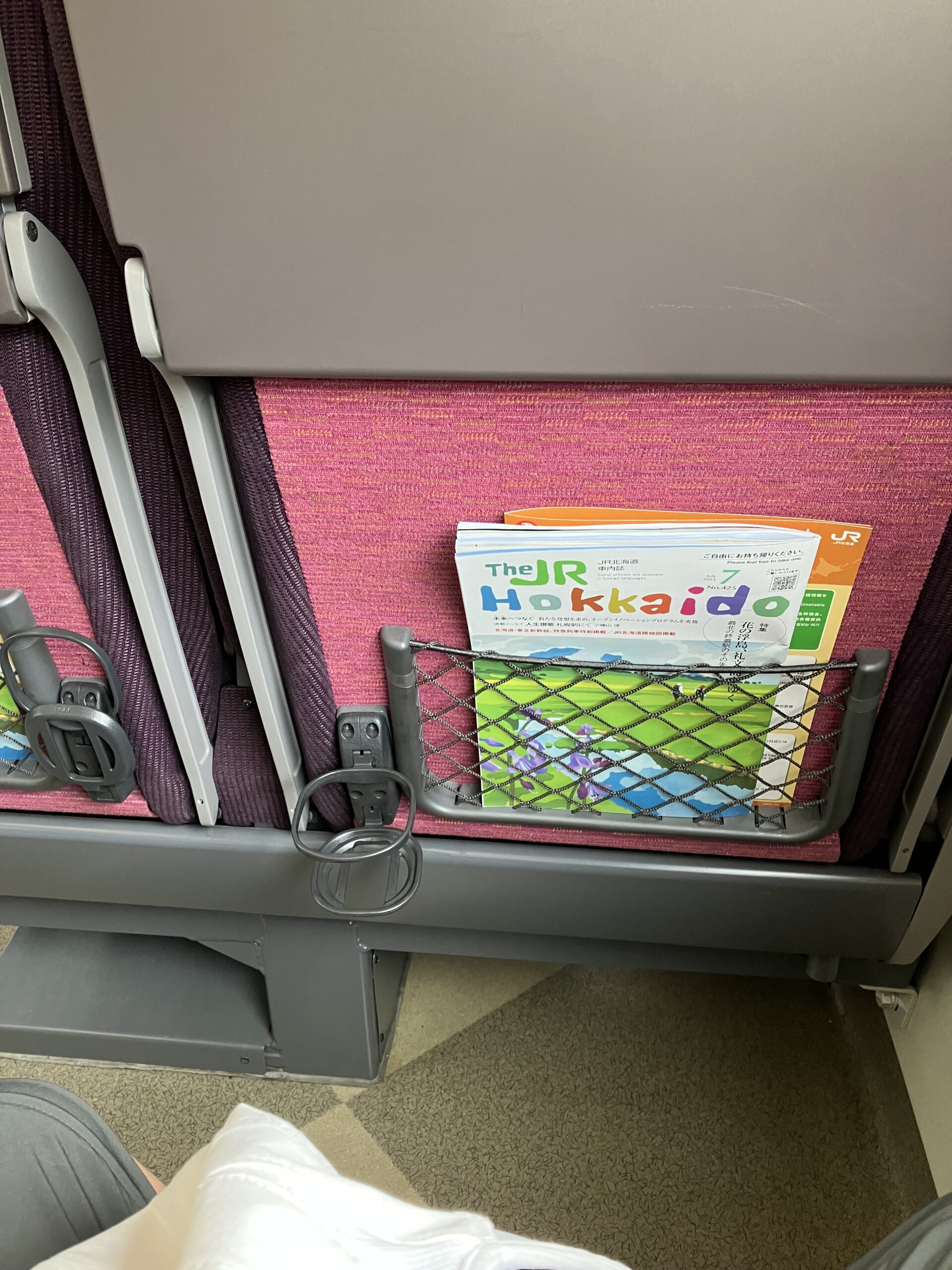 Review: Hokuto Limited Express Train (Noboribetsu-Hakodate)
