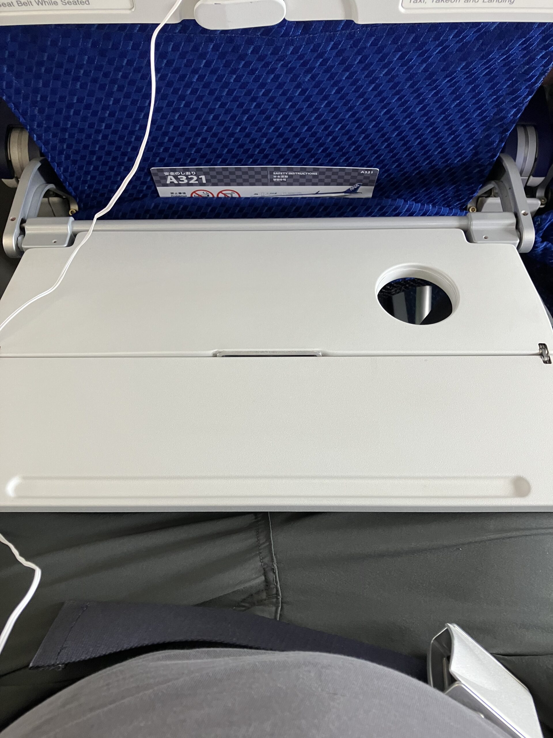 Review: ANA Airbus A321neo Economy Class (HND-ITM)