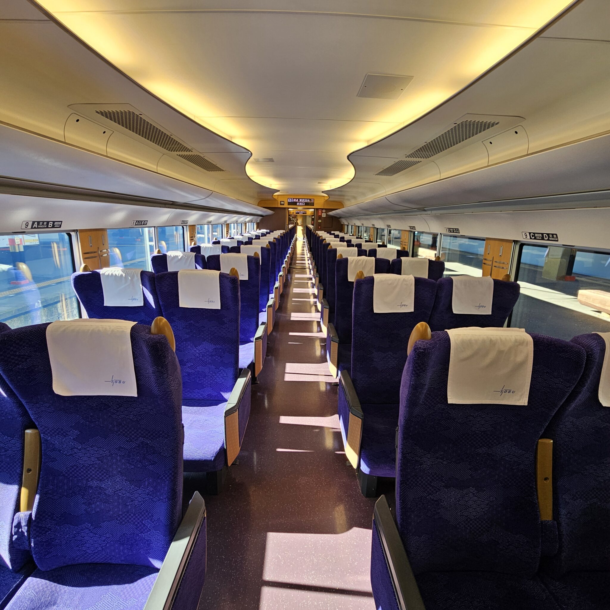 Review: Revaty Kegon (Tobu 500-series) Limited Express Train (Nikko-Asakusa)